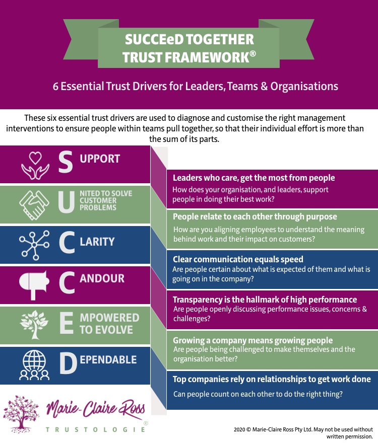 Succeed Together Trust Framework